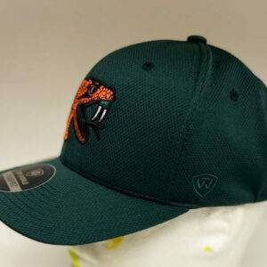 FAMU FLEX bill cap – Beyond By MelB LLC